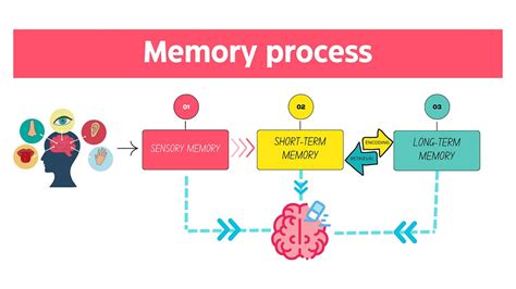 Memory Retrieval Process