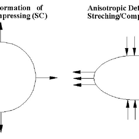 Pdf Fluid Dynamics Equations Based On Constitutive Relation Of