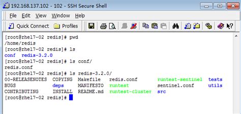 Redis配置主从架构，实现读写分离redis 主从读取 Csdn博客