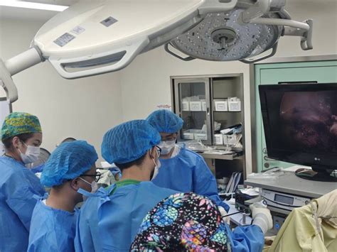 Халдварт Өвчин Судлалын Үндэсний Төв “Ахмад настны эрүүл мэндийг дэмжих” сарын аяныг нээж