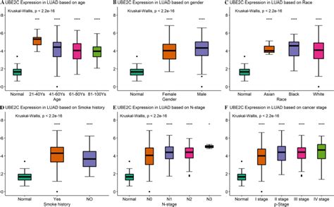 The Relationship Between Ube2c Expression And Clinical Parameters