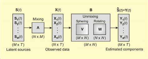 Standard Stationary Linear Noise Free Ica Model Download Scientific Diagram