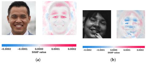 J Imaging Free Full Text Auguring Fake Face Images Using Dual Input Convolution Neural Network