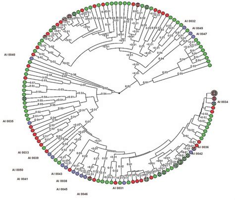Circular Dendrogram Displaying A Cluster Analysis Of Iranian M Download Scientific Diagram