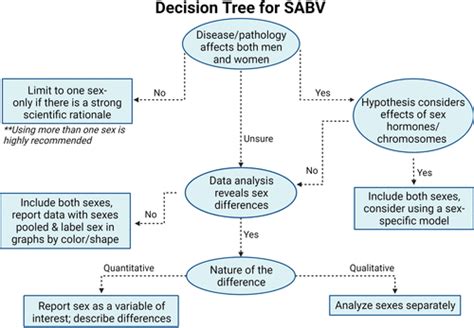 Guidelines On The Use Of Sex And Gender In Cardiovascular Research