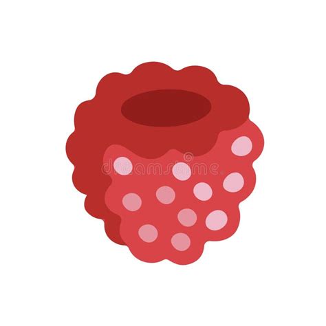 Raspberry On White Background Vector Illustration In Trendy Flat Style Eps 10 Stock Vector