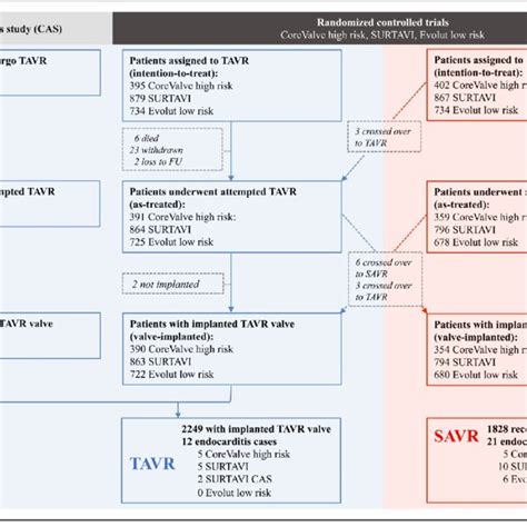 Flowchart Depicting The Patient Flow From The Intention To Treat To The