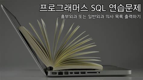 programmers 프로그래머스 sql 연습문제 흉부외과 또는 일반외과 의사 목록 출력하기 youtube