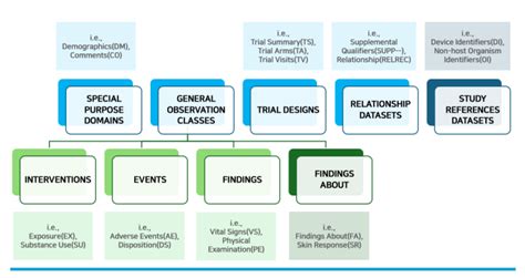 Sdtm Datasets Sdtm Domains Class에 대하여 Mia Kim Ccdm® Cmc