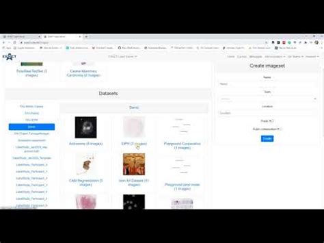 Github Deepmicroscopy Exact An Open Source Online Platform For Collaborative Image Labeling