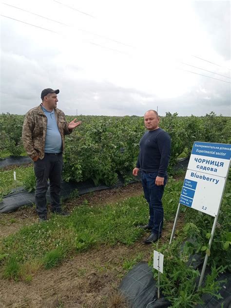 Під час воєнного стану в Україні чимало підприємств продовжують працювати і підтримувати її