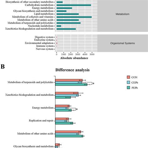 Function Prediction Of Bacterial Metabolism Pathways A And Difference Download Scientific