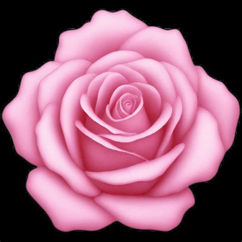 Rose Blank Pink Emoji Ai Emoji Generator