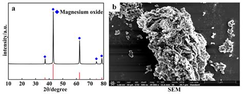 Xrd Pattern And Microstructure Image Of Mgo A Xrd Pattern B Sem Download Scientific