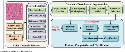 Figure 1 From Automated Mitosis Detection In Histopathology Using Morphological And Multi