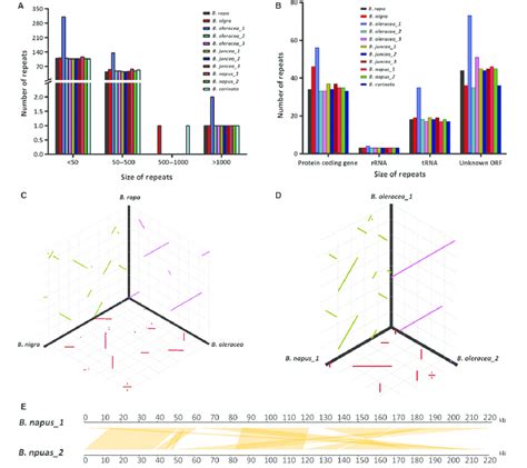 Principal Component Analysis Based On And Phylogenetic Tree In Brassica