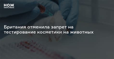 Британия отменила запрет на тестирование косметики на животных — Нож
