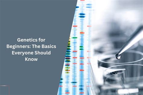 Genetics For Beginners The Basics Everyone Should Know Thomas J Powell Grant