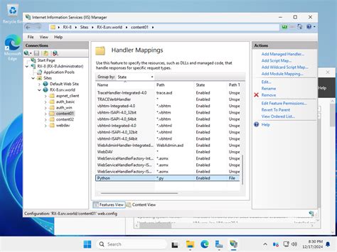 windows server 2025 iis use python scripts server world