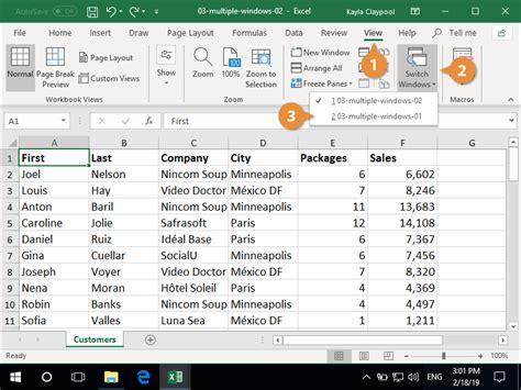 Opening Two Excel Windows Customguide