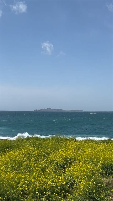 카페루시아 Cafe Lucias 곧 박수폭포가 터질듯이 비가 세차게 내리네요 제주바다와 파도감상 어떠세요 카페루시아로 오세요~~ 🌴오전930 오후