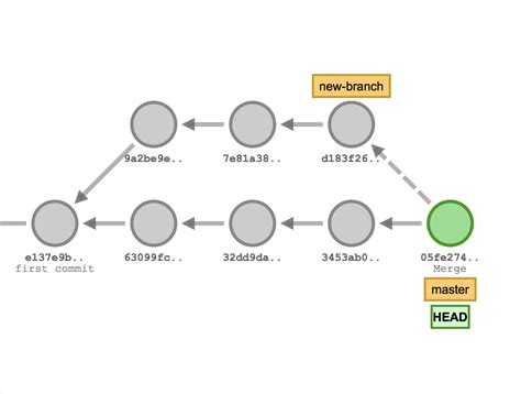 Work With Your History In Git Unit Salesforce Trailhead
