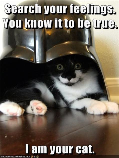 Lolcats Darth Vader LOL At Funny Cat Memes Funny Cat Pictures With Words On Them Lol