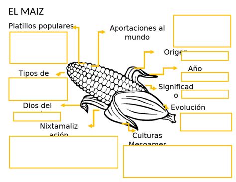 Maíz Origen Tipos Y Culturas Mesoamericanas Pdf