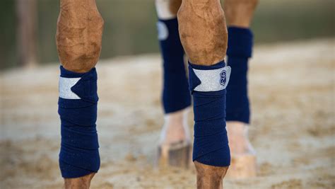 Guide To Polo Wraps Equestroom