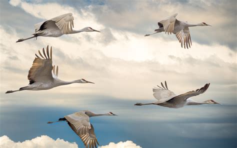 Javax To Jakarta Migration Best Practices