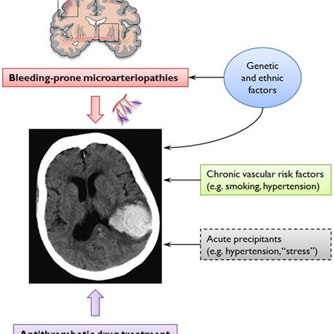 Pdf Cerebral Microbleeds On Magnetic Resonance Imaging And Anticoagulant Associated