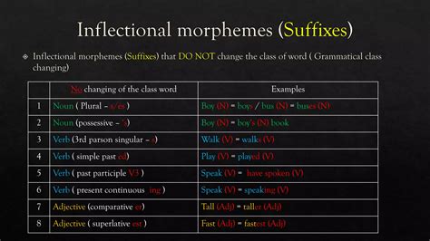 Derivation And Inflection Pdf