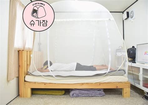 원터치 모기장텐트 슈가잠 여름 캠핑모기장 이너텐트 대용 가능 네이버 블로그