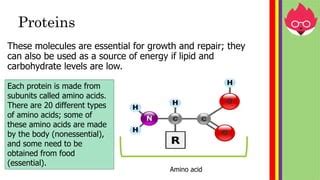 IGCSE Biology Edexcel 9 1 Biological Molecules PPT