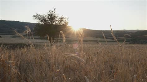 Sekisvideo Videos Download The Best Free 4k Stock Video Footage