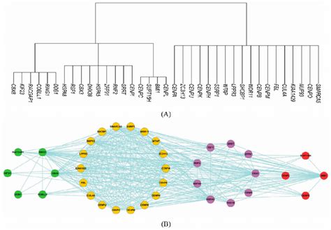 Inferred Hierarchical Sub Complexes Via Matthews Correlation