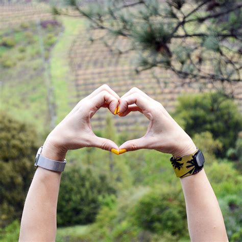 Family hike with PARA’KITO – Bay Area Fashionista