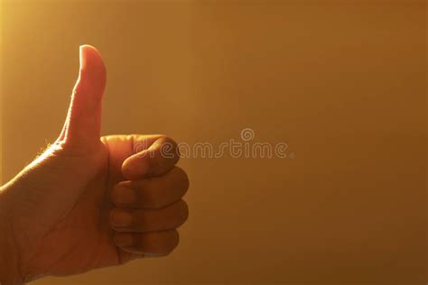 The Best Of The Best Stock Photo Image Of Wonderful 238442184