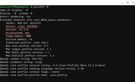 How To Enable Microphone And GPU Acceleration In Linux On Chromebook WinDOSPC