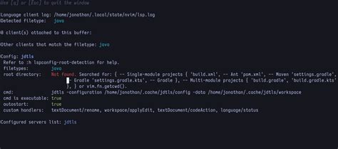 Lsp Issue With Jdtls · Issue 3243 · Lunarvimlunarvim · Github