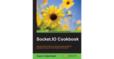 1 Wiring It Up Socketio Cookbook Book