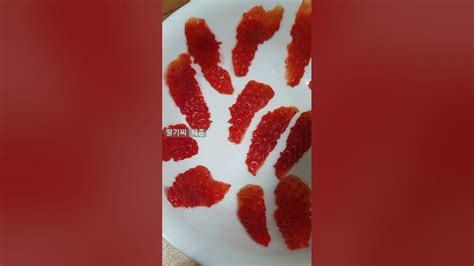 당도 높은 킹스베리딸기 씨앗 파종 목표 딸기씨 채종 건조하기 딸기 씨앗 과육 얇게 저며 그릇에 붙여 말리면 끝 도전 추천합니다 딸기씨 채종 방법 쉽쥬 Youtube