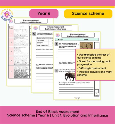 Year 6 Science Scheme Of Work Lessons Worksheets And Planning
