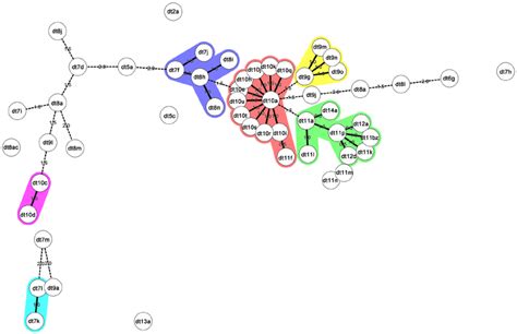 Minimum Spanning Tree Generated Using The Bionumerics Software Program