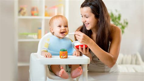 Informace O Projektu Hami Hami