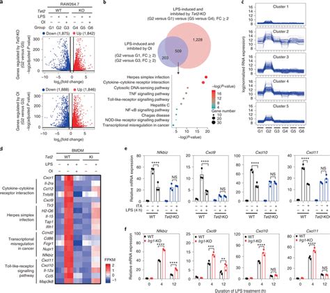 Tet2 Is A Major Target Of Itaconate To Suppress Lps Induced Genes In
