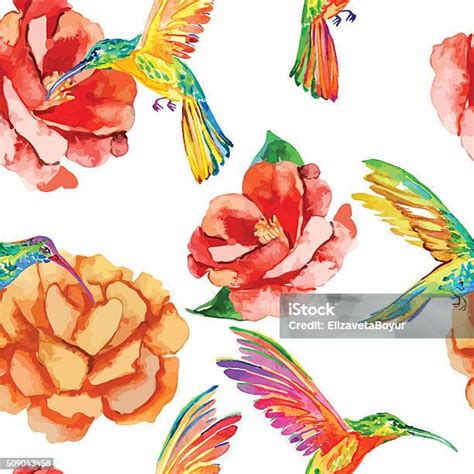 열대 조류는 및 꽃 제공 이음새 없는 패턴 워터컬러 벡터 동백 Hummingbirds 계절에 대한 스톡 벡터 아트 및 기타 이미지 Istock