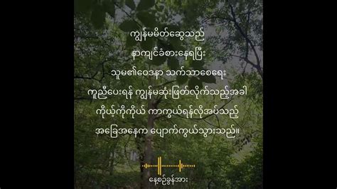 နေ့စဉ်ခွန်အား ၂၀၂၄ ခုနှစ်၊ ဇန်န၀ါရီလ ၂၄ ရက် ‌ Youtube