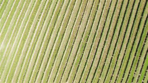 281 Straight Line Method Stock Videos Footage And 4k Video Clips Getty Images