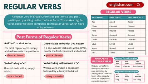 Regular Verbs In English Grammar • Englishan